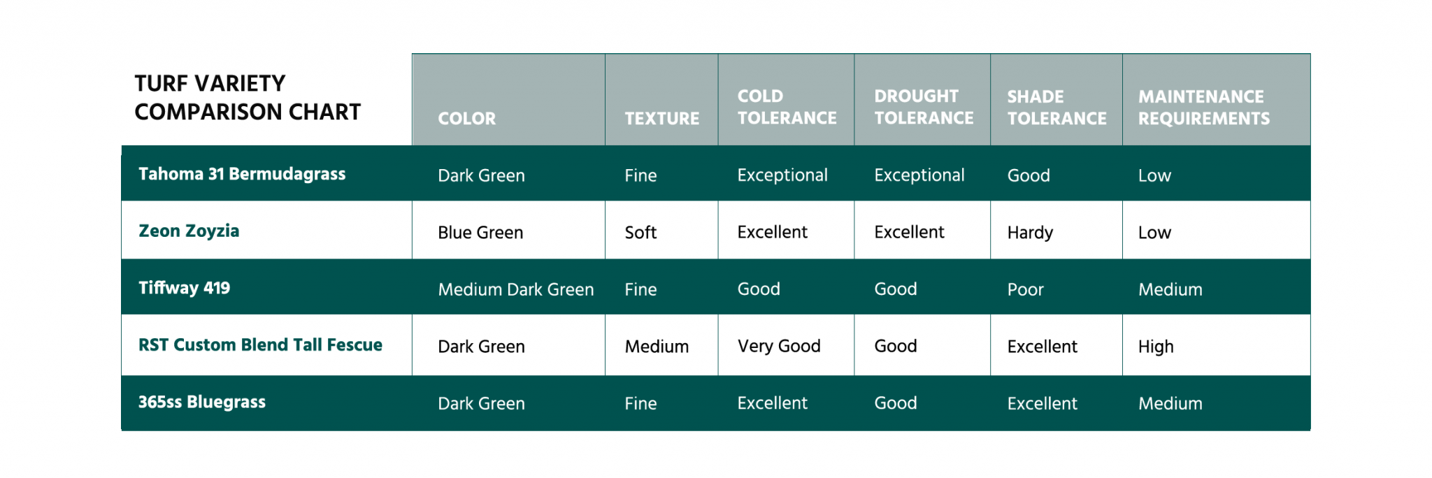 Our Grass Varieties - Riverside Turf